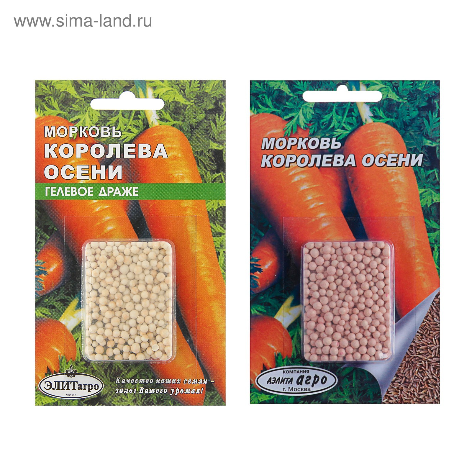 Сорта Моркови Королева Осени Фото Отзывы — Фото Картинки